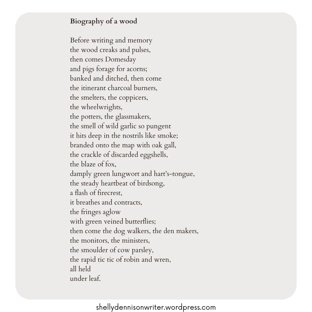 Biography of a wood – Shelly Dennison